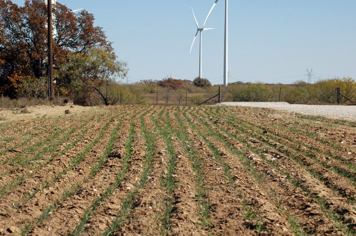 Images tagged "temporary-irrigation"